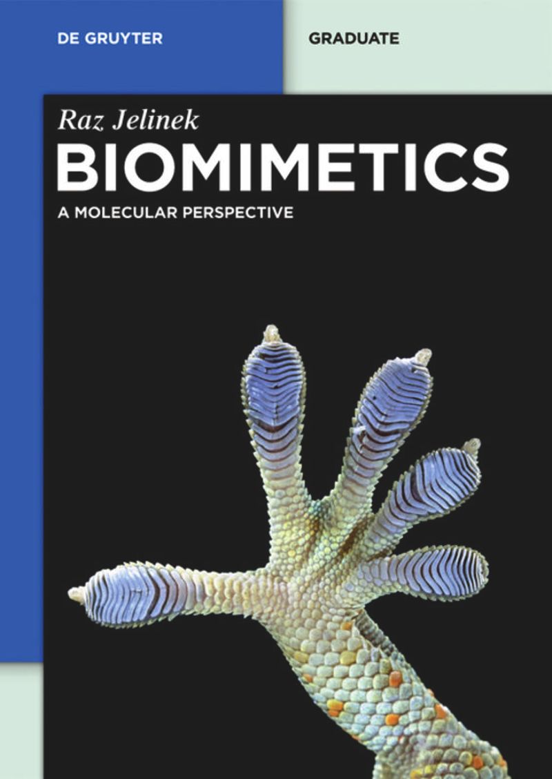 Biomimetics - A Molecular Perspective