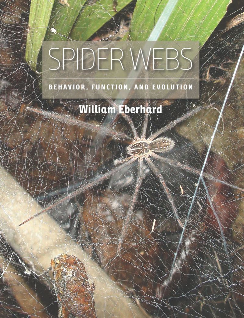 Spider Webs - Behavior, Function, and Evolution