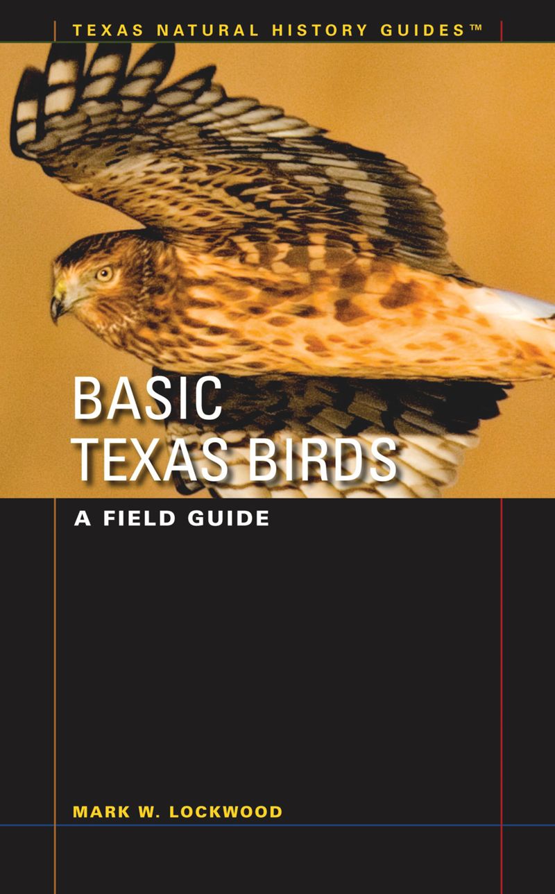 Basic Texas Birds