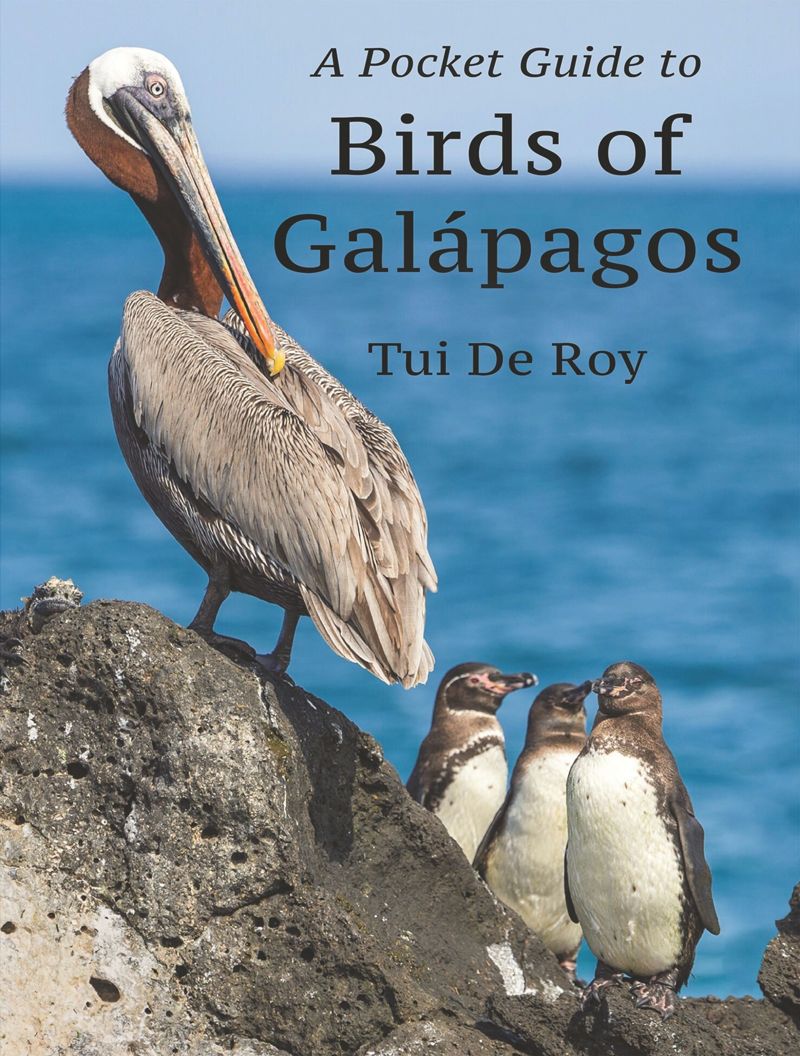 A Pocket Guide to Birds of Galápagos
