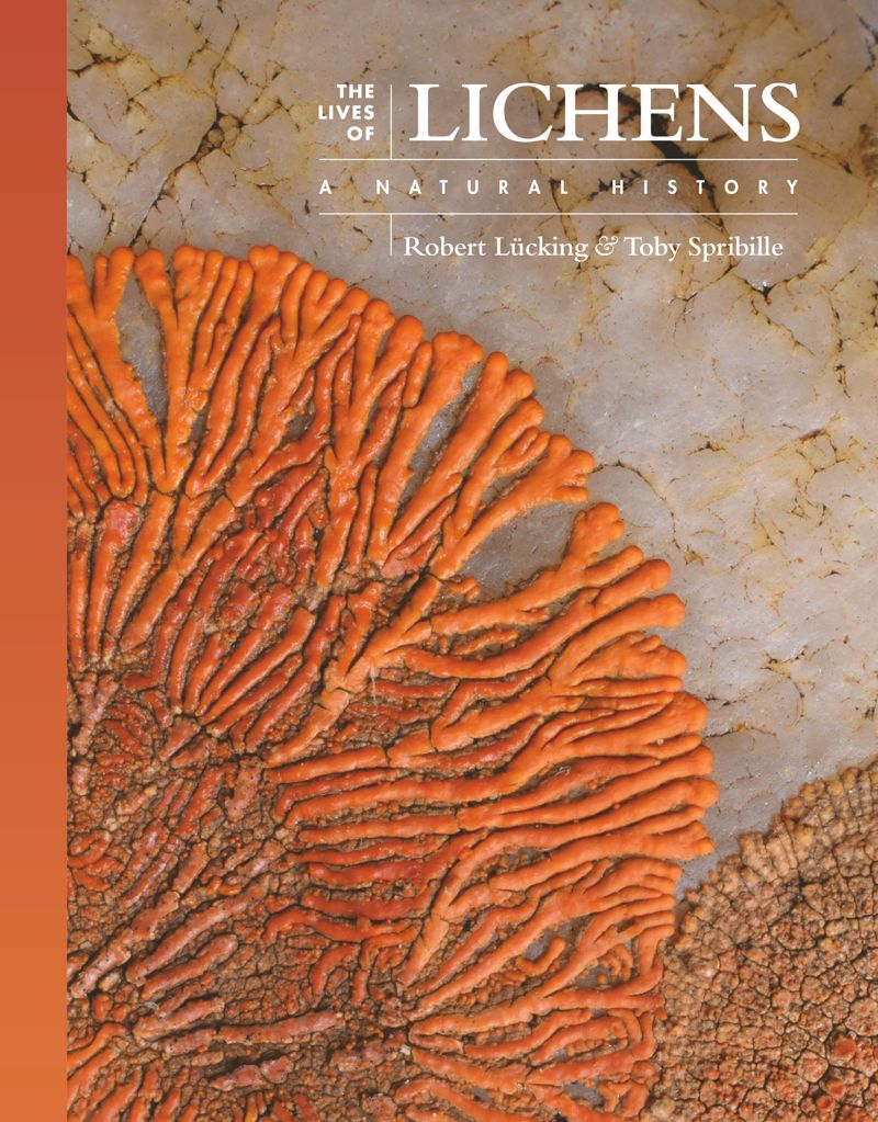 The Lives of Lichens - A Natural History