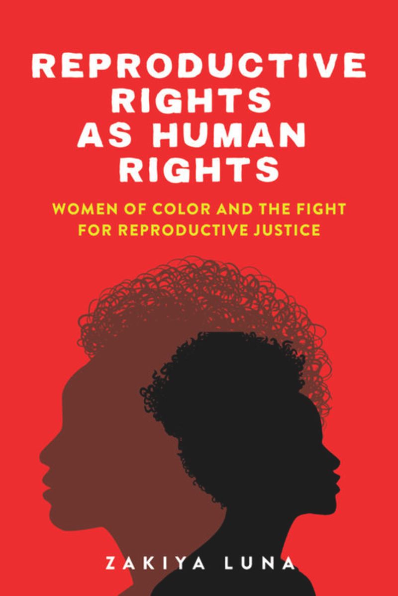 Reproductive Rights as Human Rights