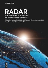 Deep learning-based water body segmentation in SAR imager...