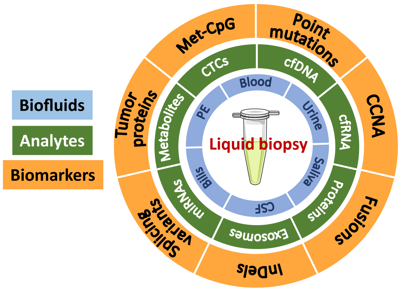 Liquid biopsy for cancer management: a revolutionary but still limited ...