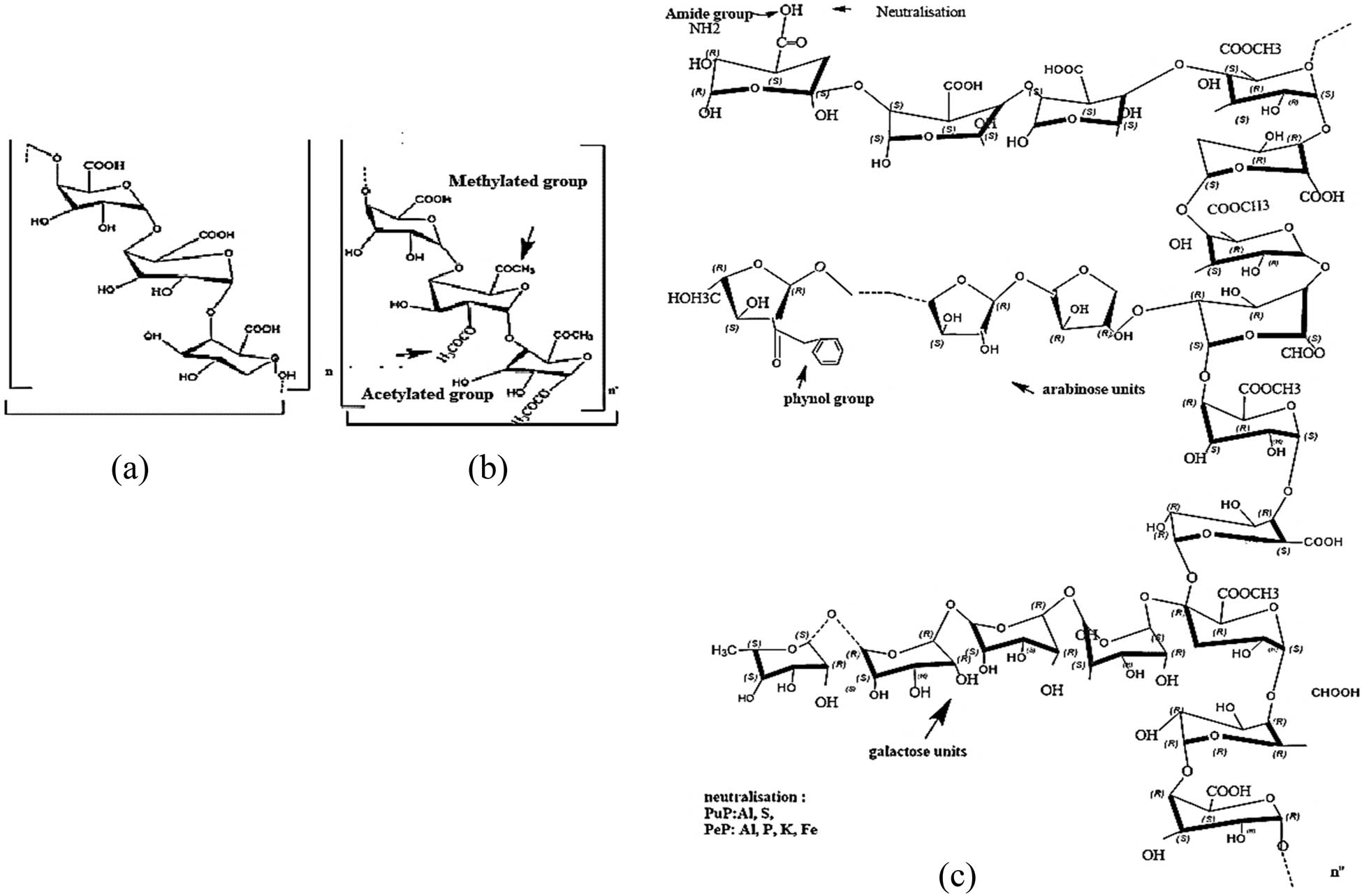 Structure of pumpkin pectin and its effect on its technological properties