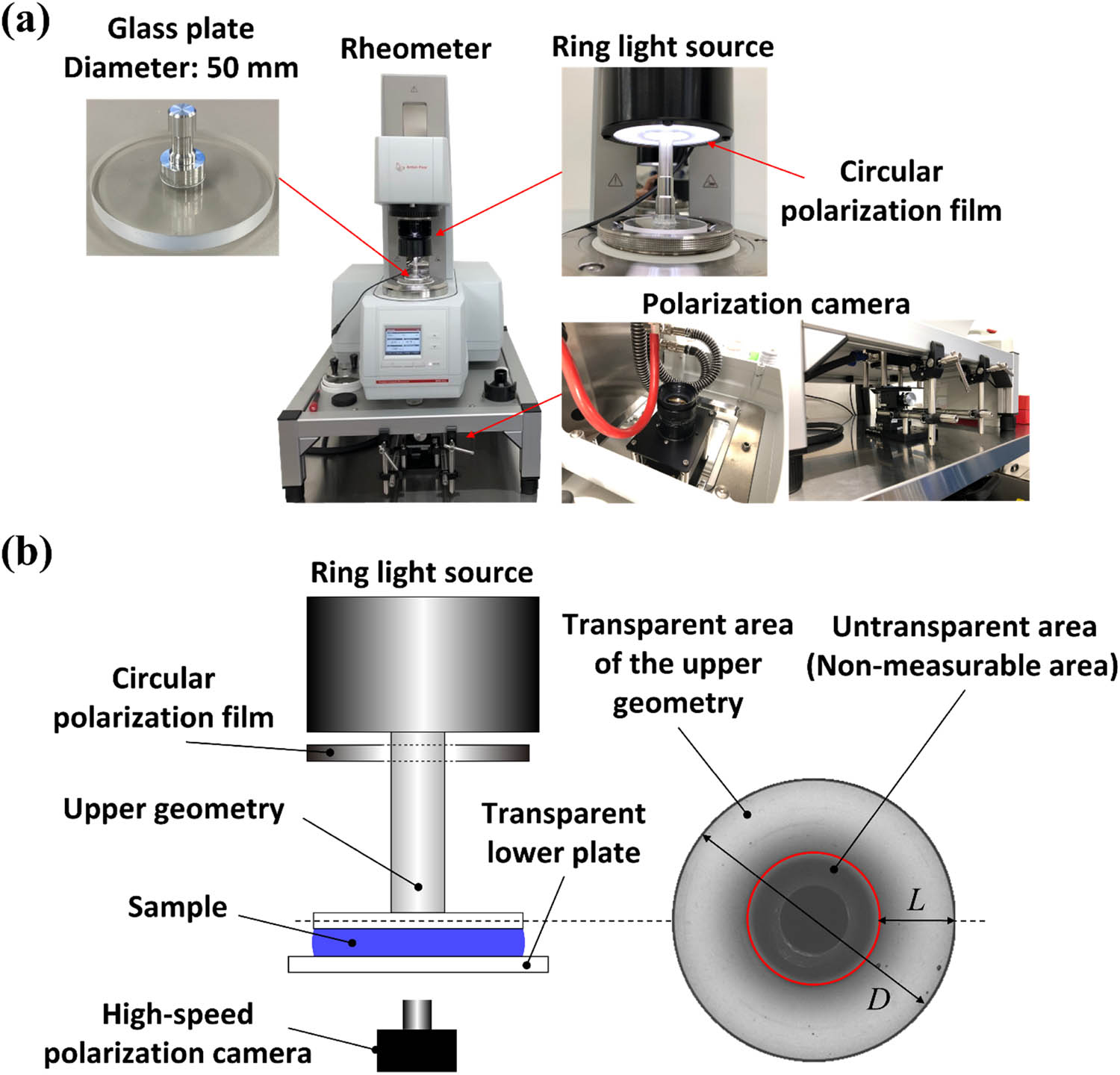 Two-dimensional rheo-optical measurement system to study dynamics and structure of complex fluids