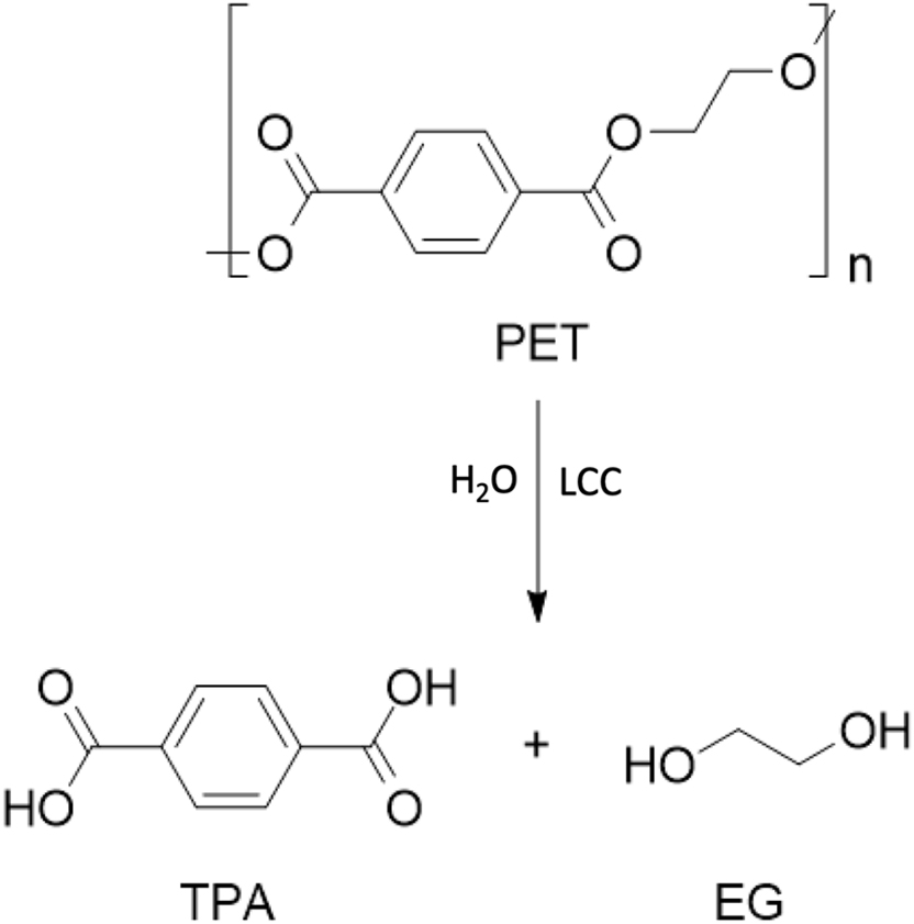 Biocatalytic approaches for plastic recycling