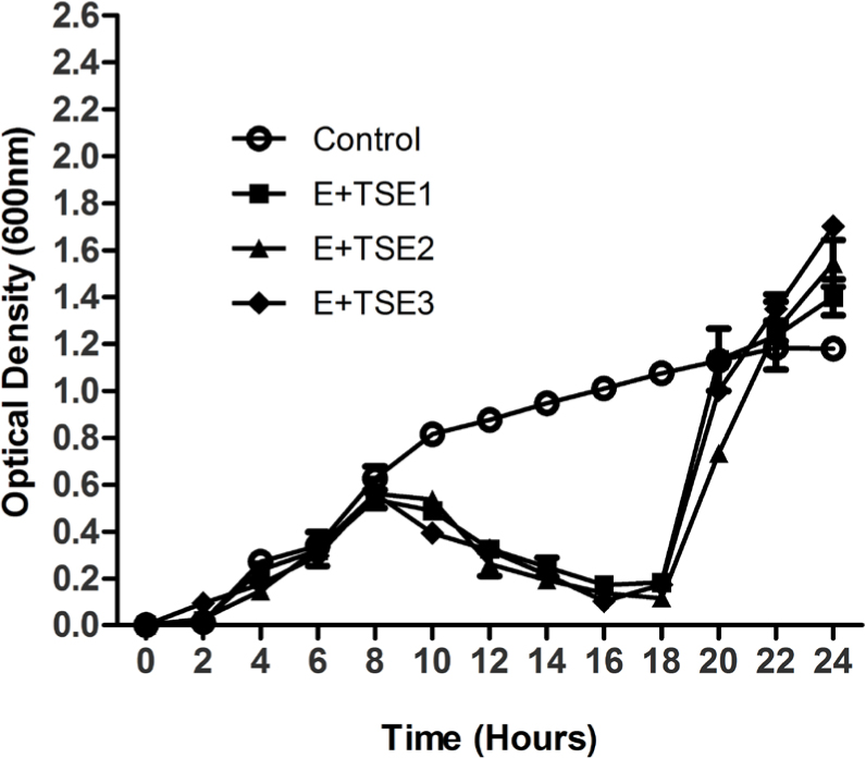 Isolation and characterization of lytic phages TSE1-3 against ...