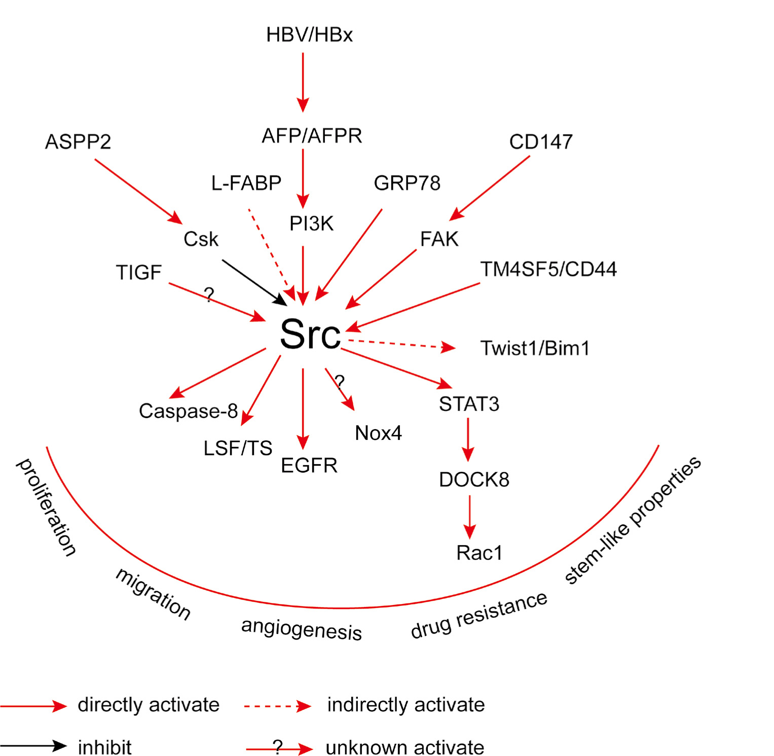 Role and inhibition of Src signaling in the progression o...