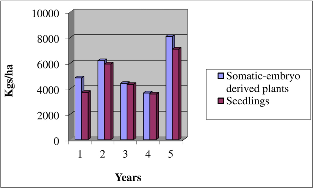 Field Performance and Genetic Fidelity of Micropropagated...