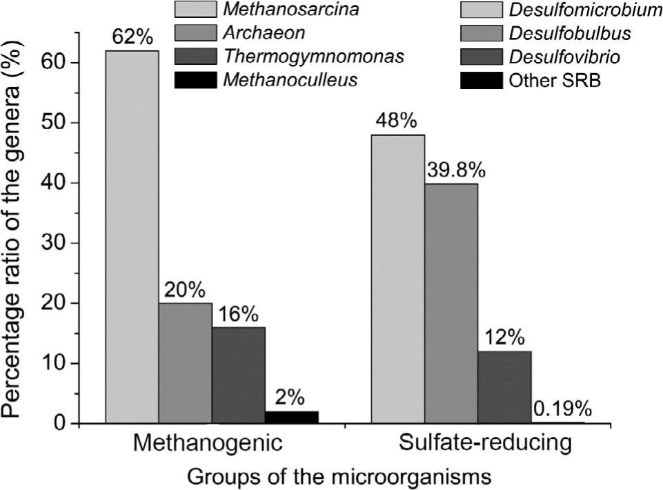 Production of biogas: relationship between methanogenic and sulfate-reducing microorganisms