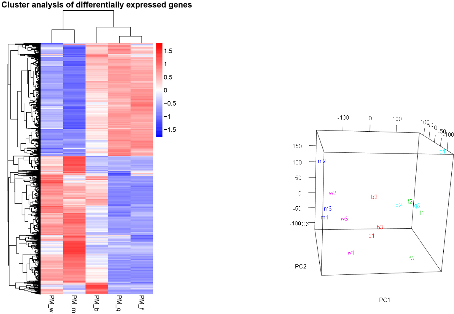 Transcriptome analysis of Pinus massoniana Lamb. microstrobili during ...