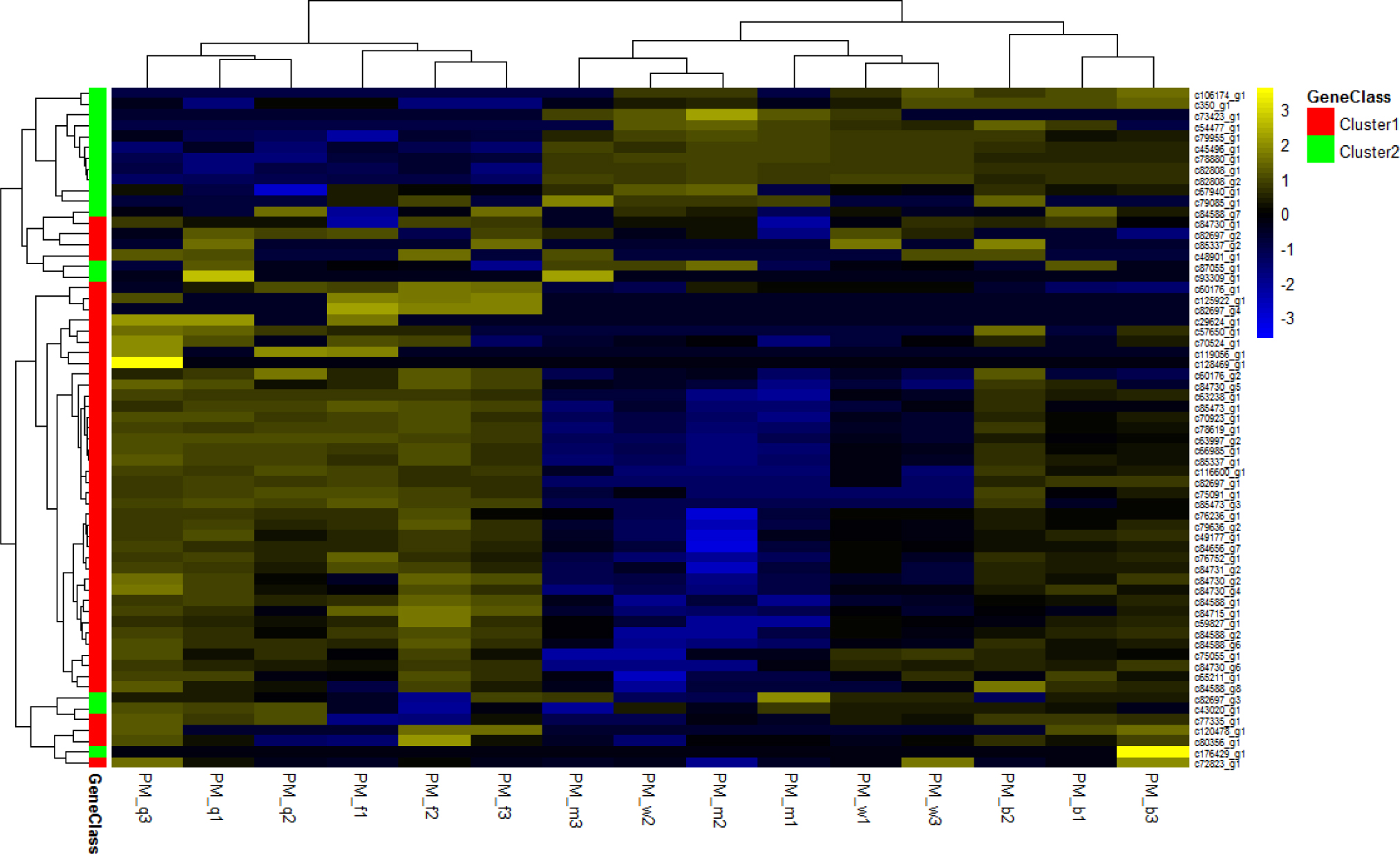 Transcriptome analysis of Pinus massoniana Lamb. microstrobili during ...