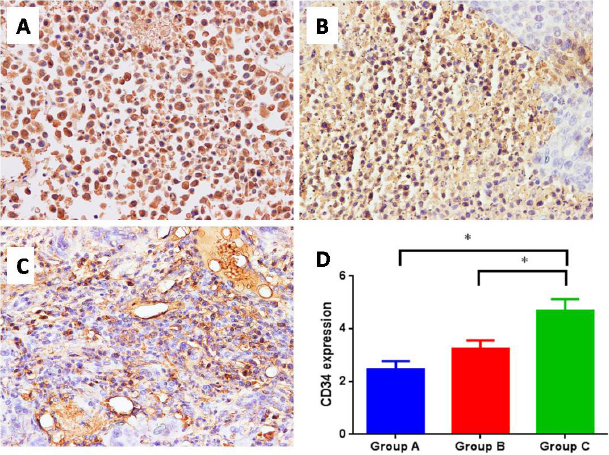 Arterial infusion of rapamycin in the treatment of rabbit ...
