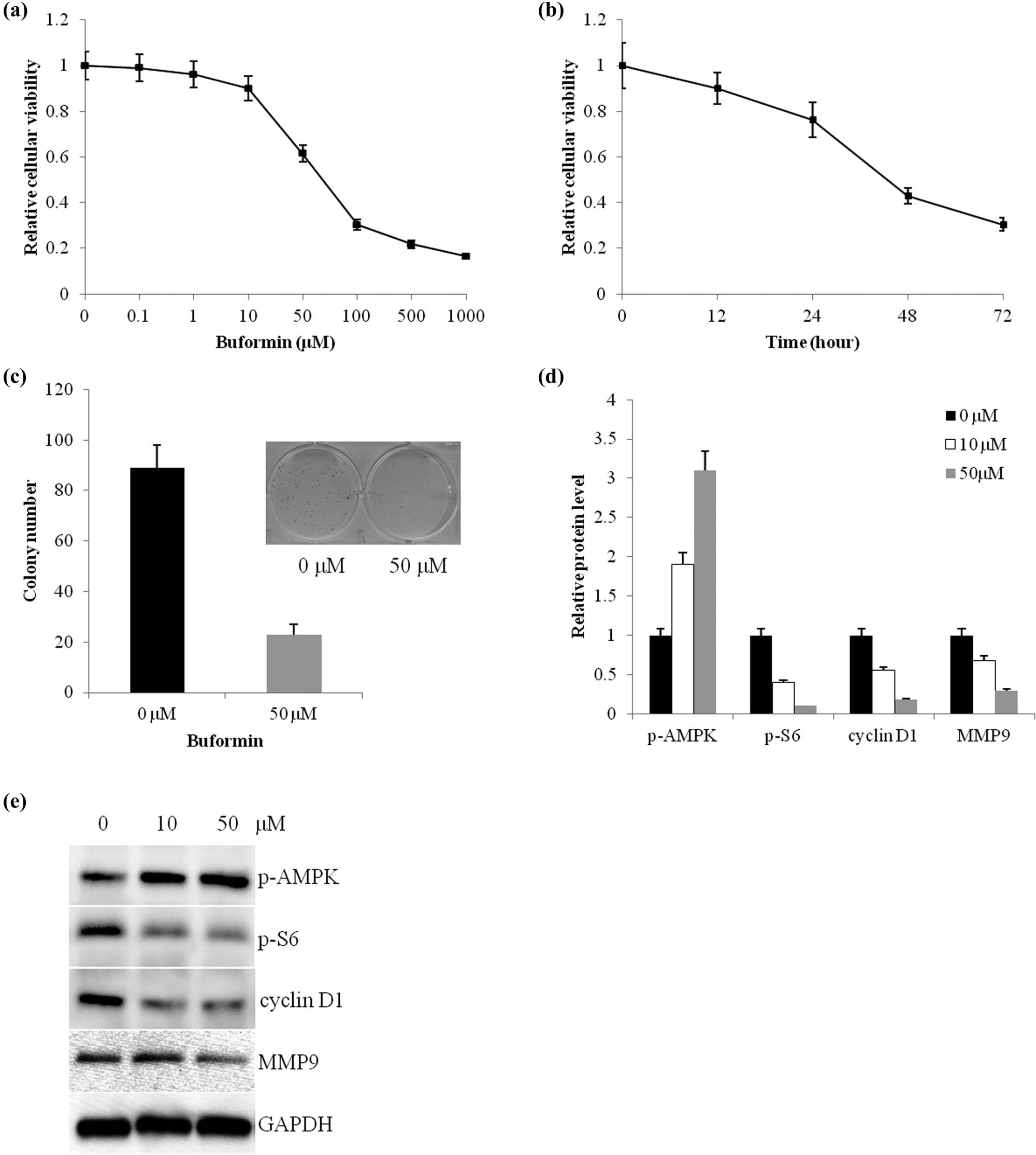 Buformin suppresses osteosarcoma via targeting AMPK signaling pathway
