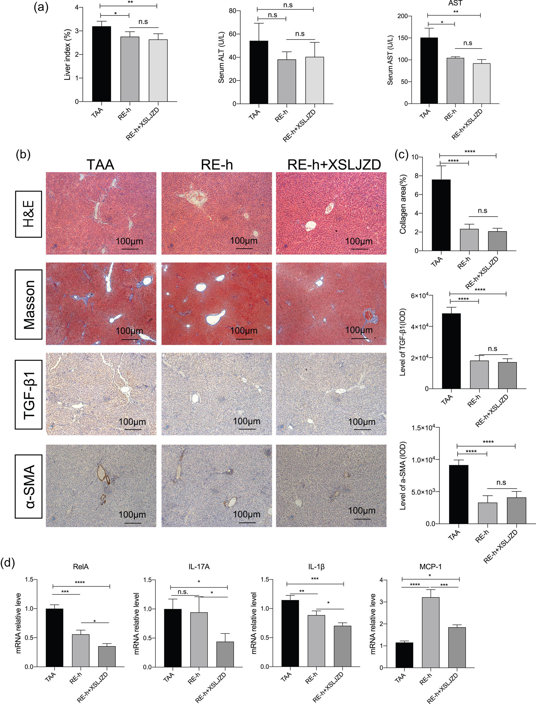 Reversine and herbal Xiang–Sha–Liu–Jun–Zi decoction ameliorate ...