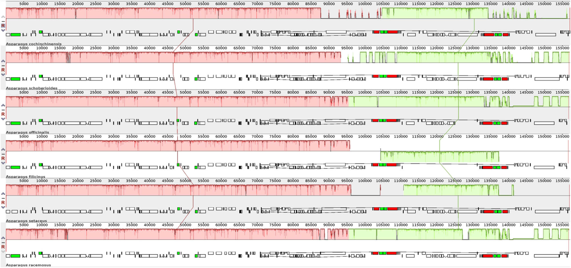 The entire chloroplast genome sequence of Asparagus cochinchinensis and ...