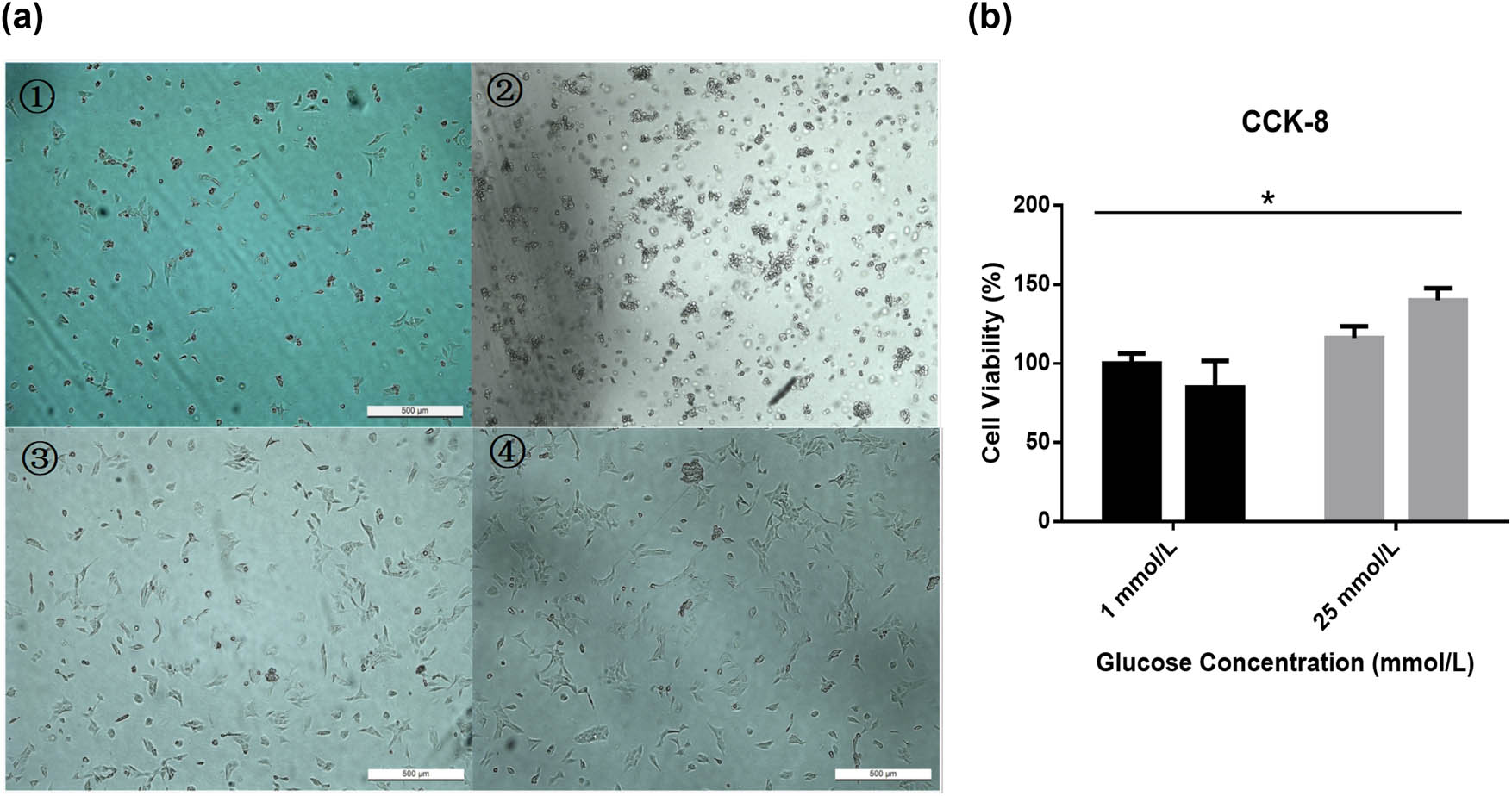 Effects of glucose and osmotic pressure on the proliferation and cell ...