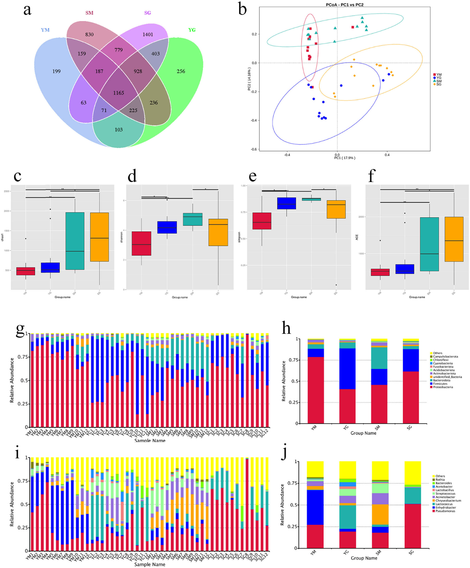 Microbial diversity of milk ghee in southern Gansu and its effect on ...