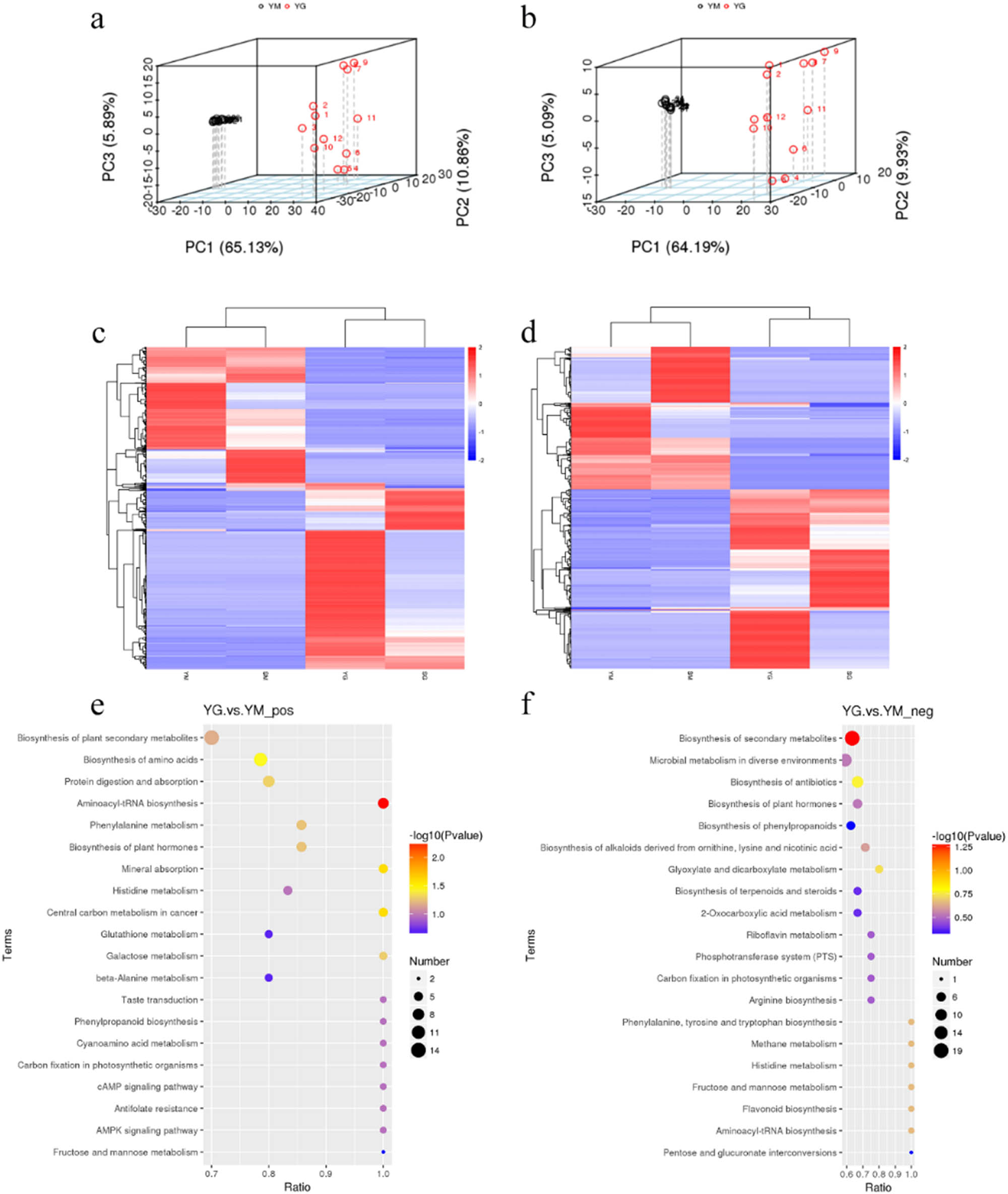 Microbial diversity of milk ghee in southern Gansu and its effect on ...