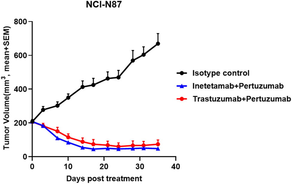 Systemic investigation of inetetamab in combination with small molecules to treat HER2 ...