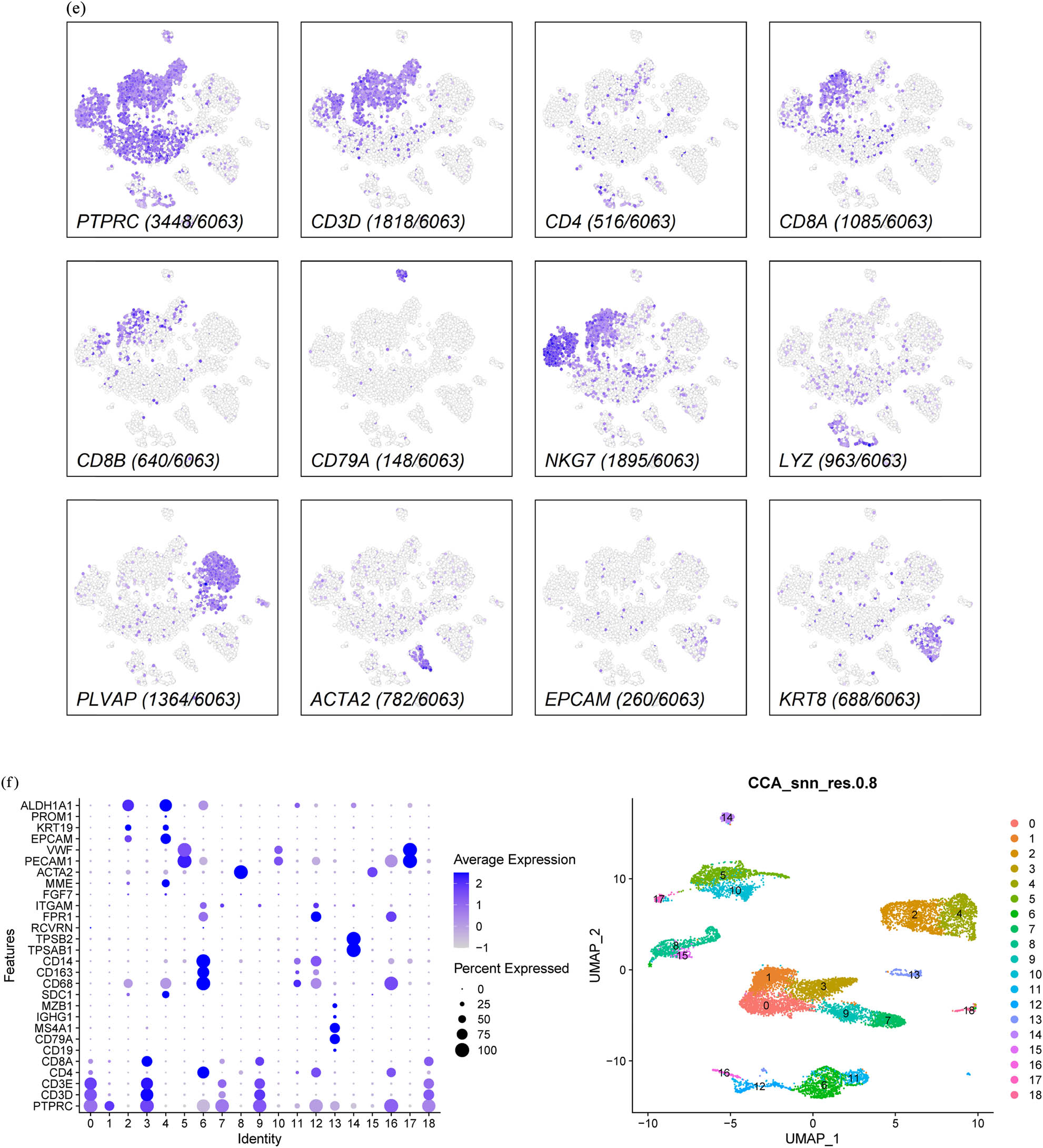 Single-cell transcription analysis reveals the tumor origin and ...
