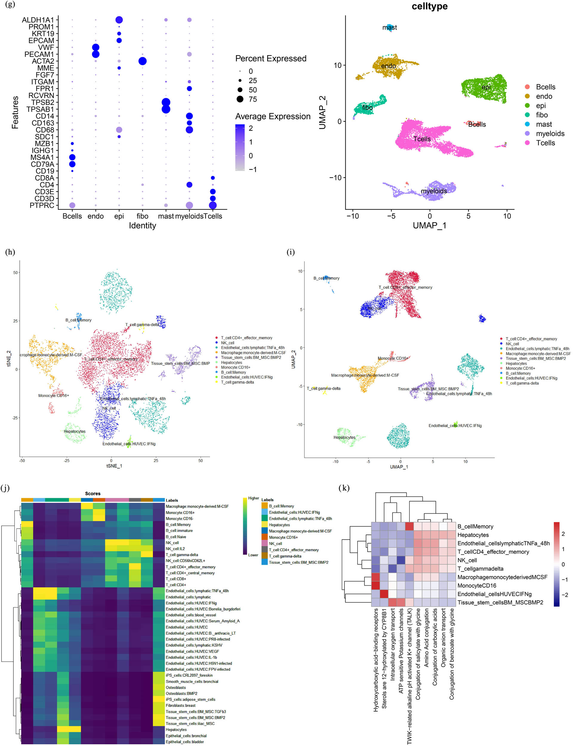 Single-cell transcription analysis reveals the tumor origin and ...