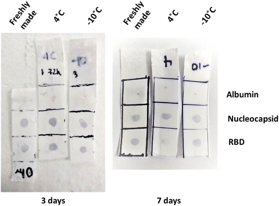 Development of an instrument-free and low-cost ELISA dot-blot test to ...