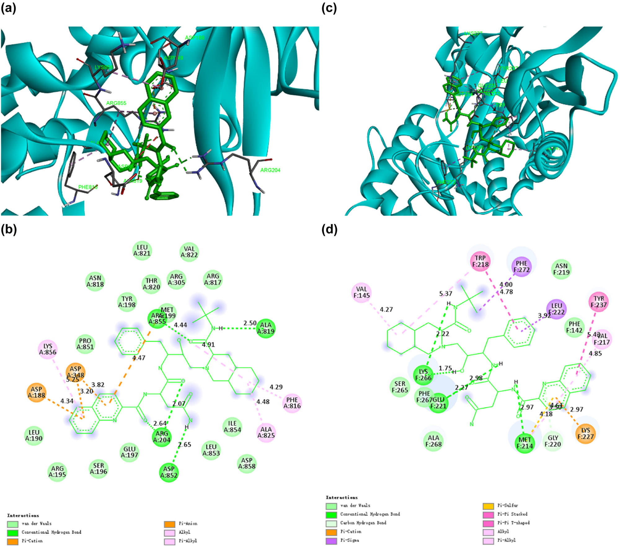 Virtual high-throughput screening: Potential inhibitors targeting ...