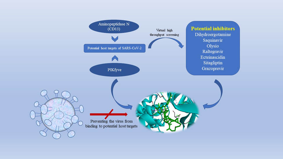 Virtual high-throughput screening: Potential inhibitors targeting ...