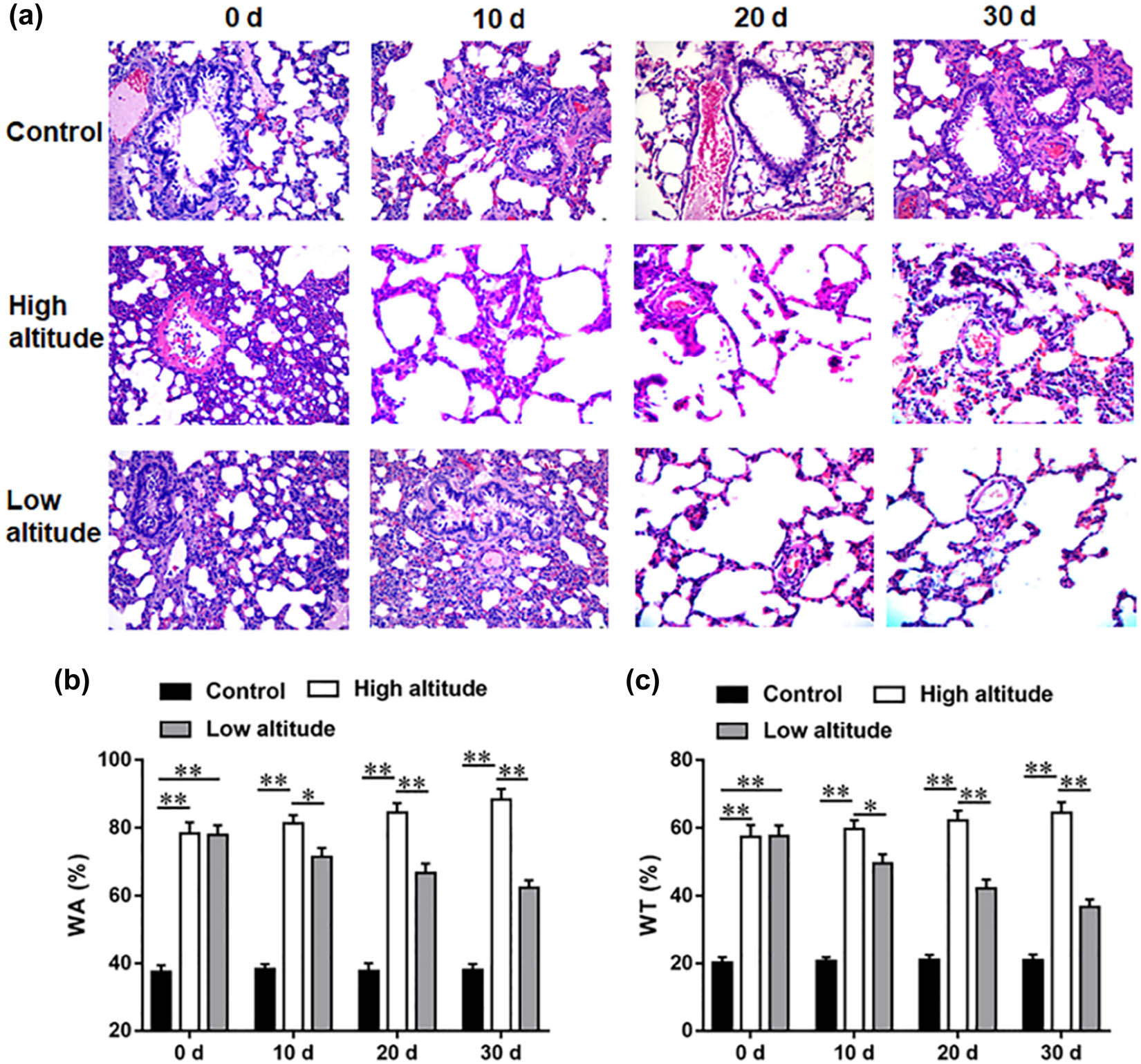 TNF-α and IL-8 levels are positively correlated with hypobaric hypoxic ...