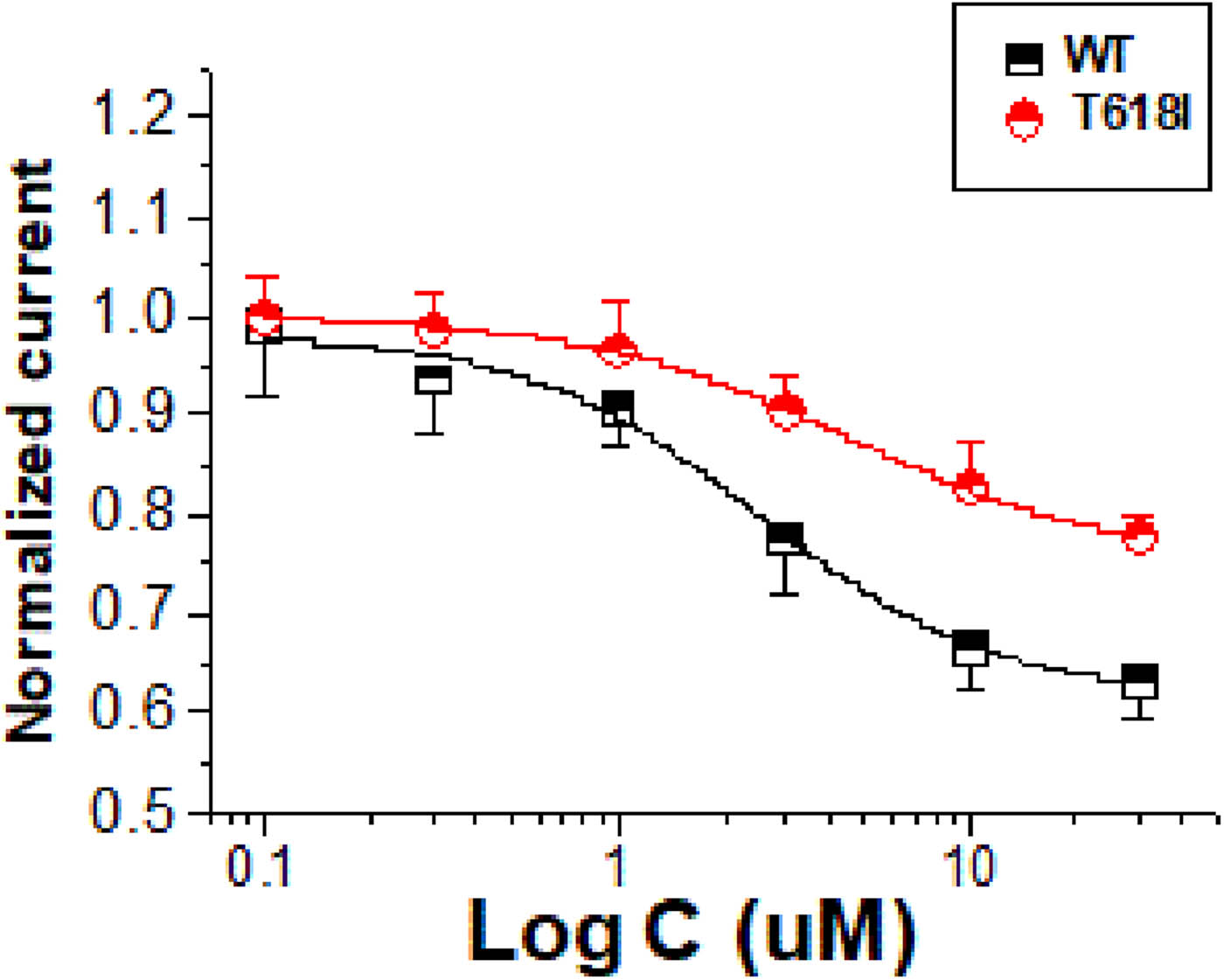 Characterization of amiodarone action on currents in hERG-T618 gain-of ...
