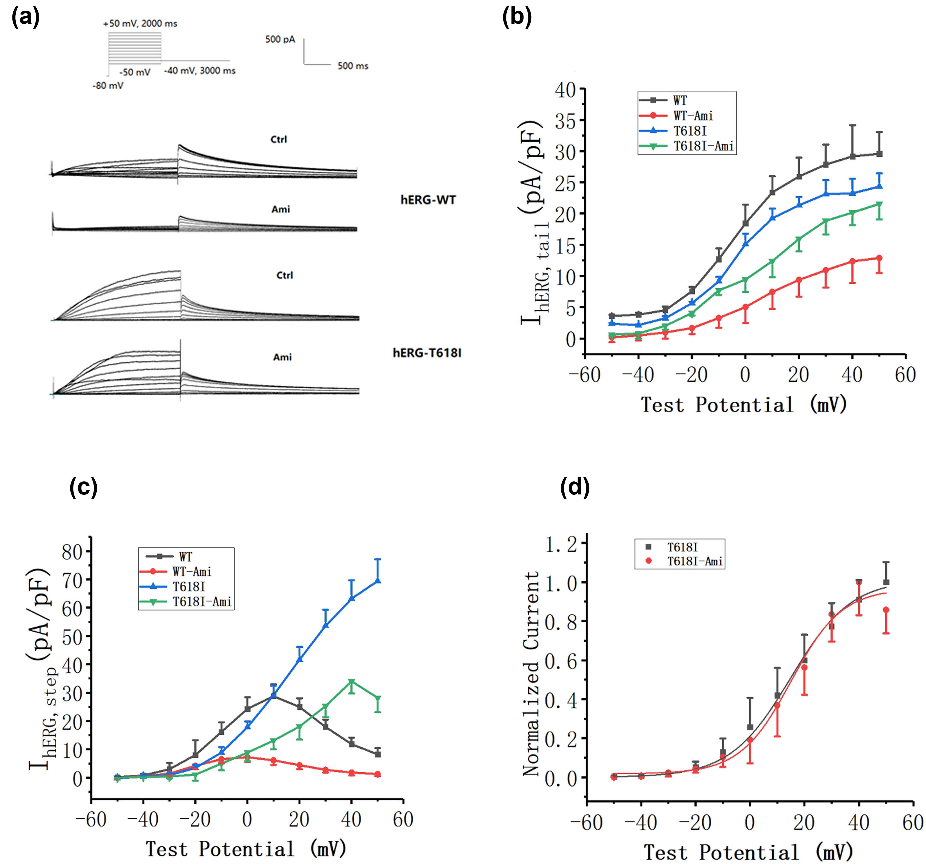 Characterization of amiodarone action on currents in hERG-T618 gain-of ...
