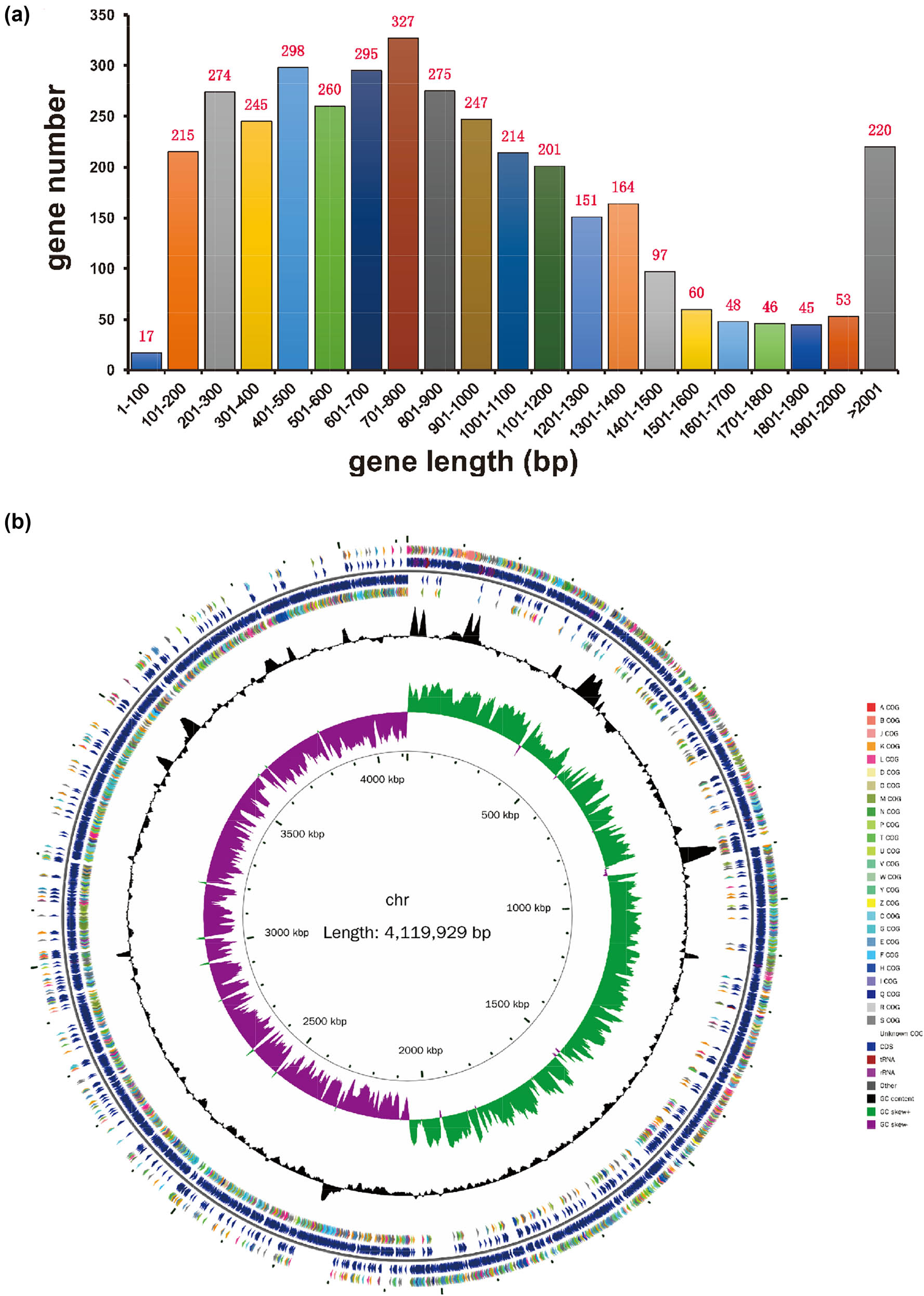Genomic analysis of a novel ST11(PR34365) Clostridioides difficile ...
