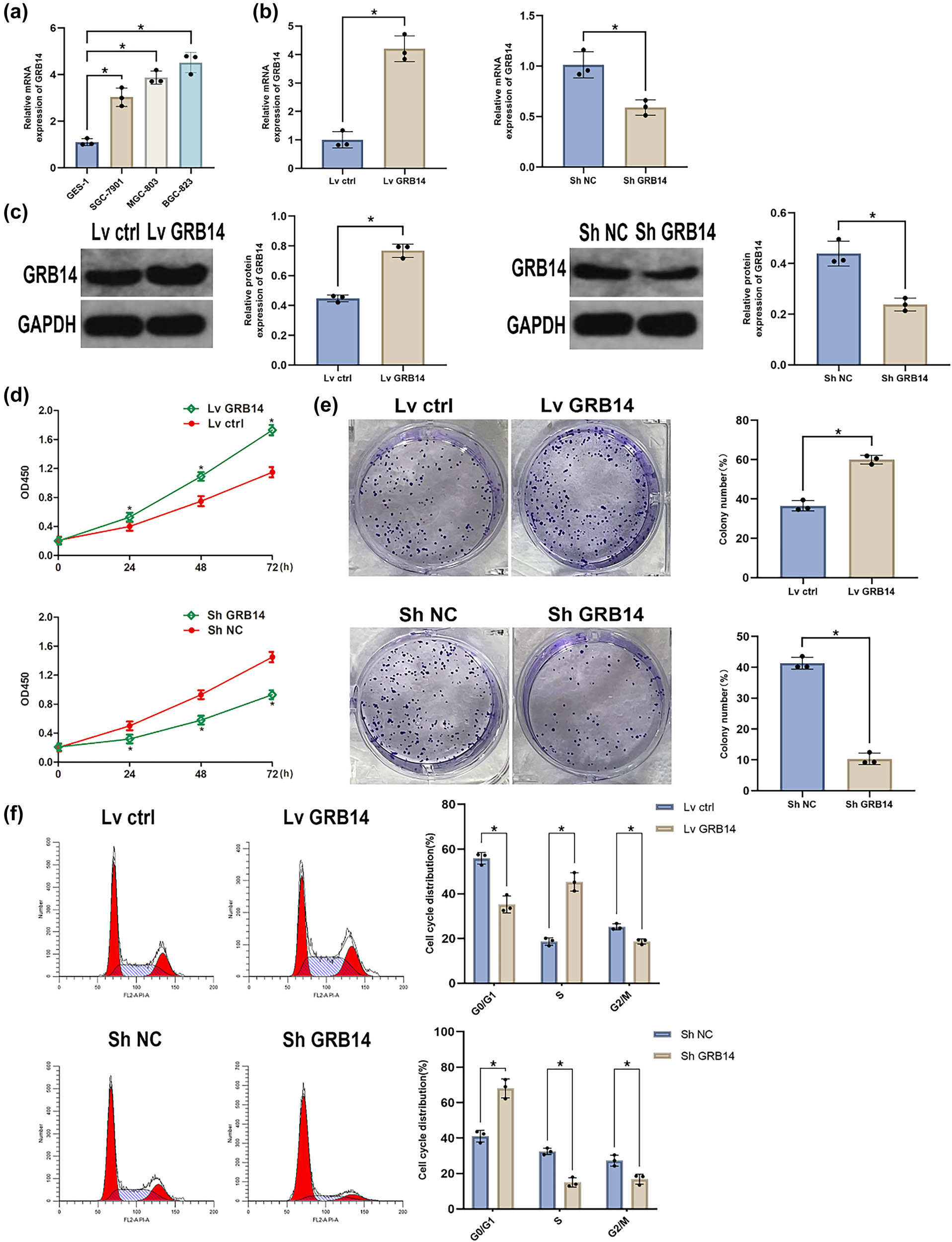 GRB14: A prognostic biomarker driving tumor progression in gastric ...