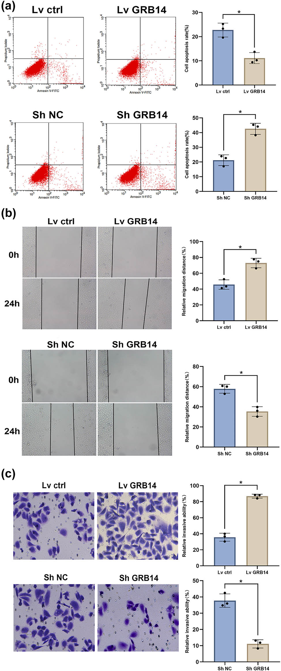 GRB14: A prognostic biomarker driving tumor progression in gastric ...