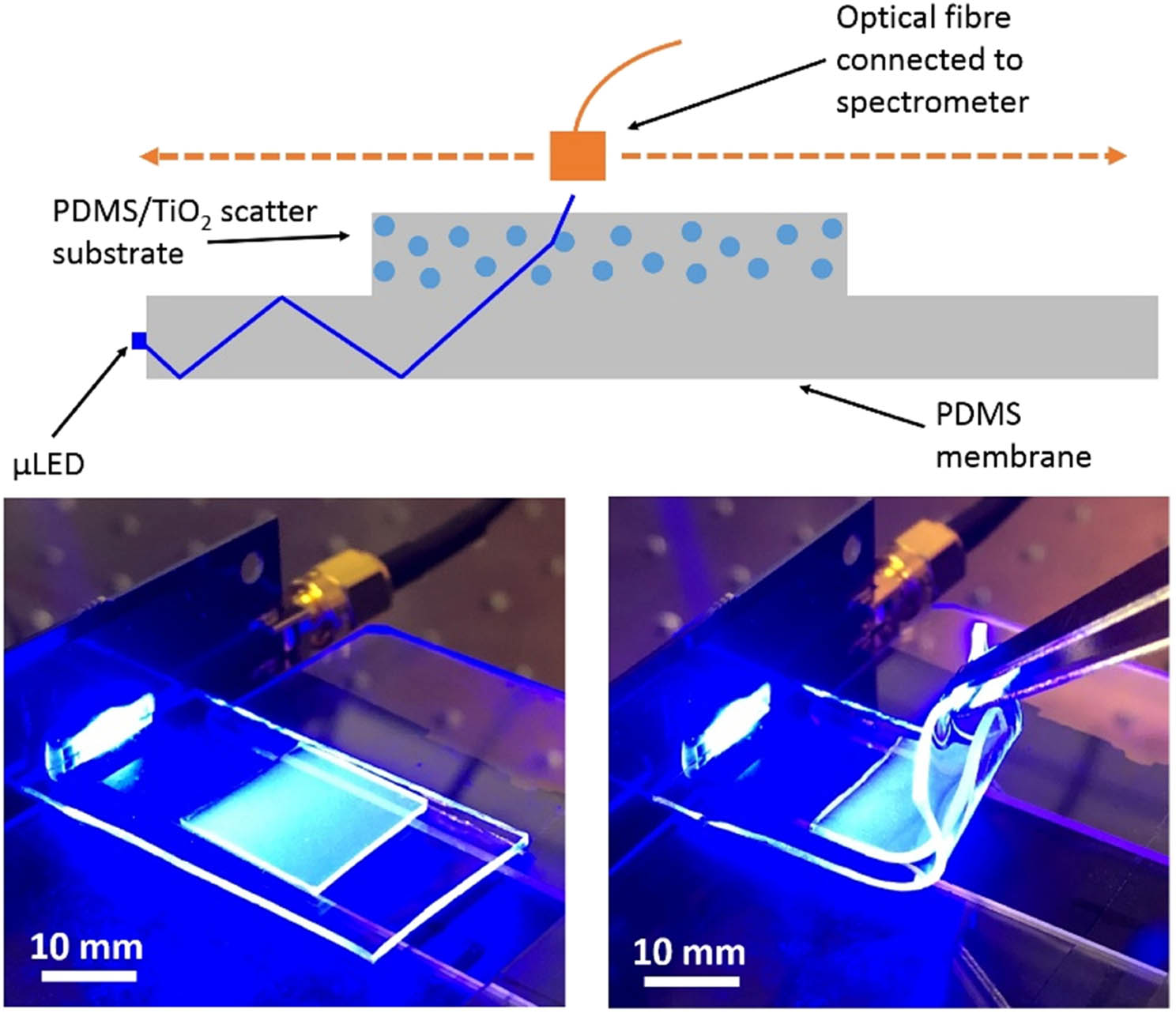 Innovative light sources for phototherapy