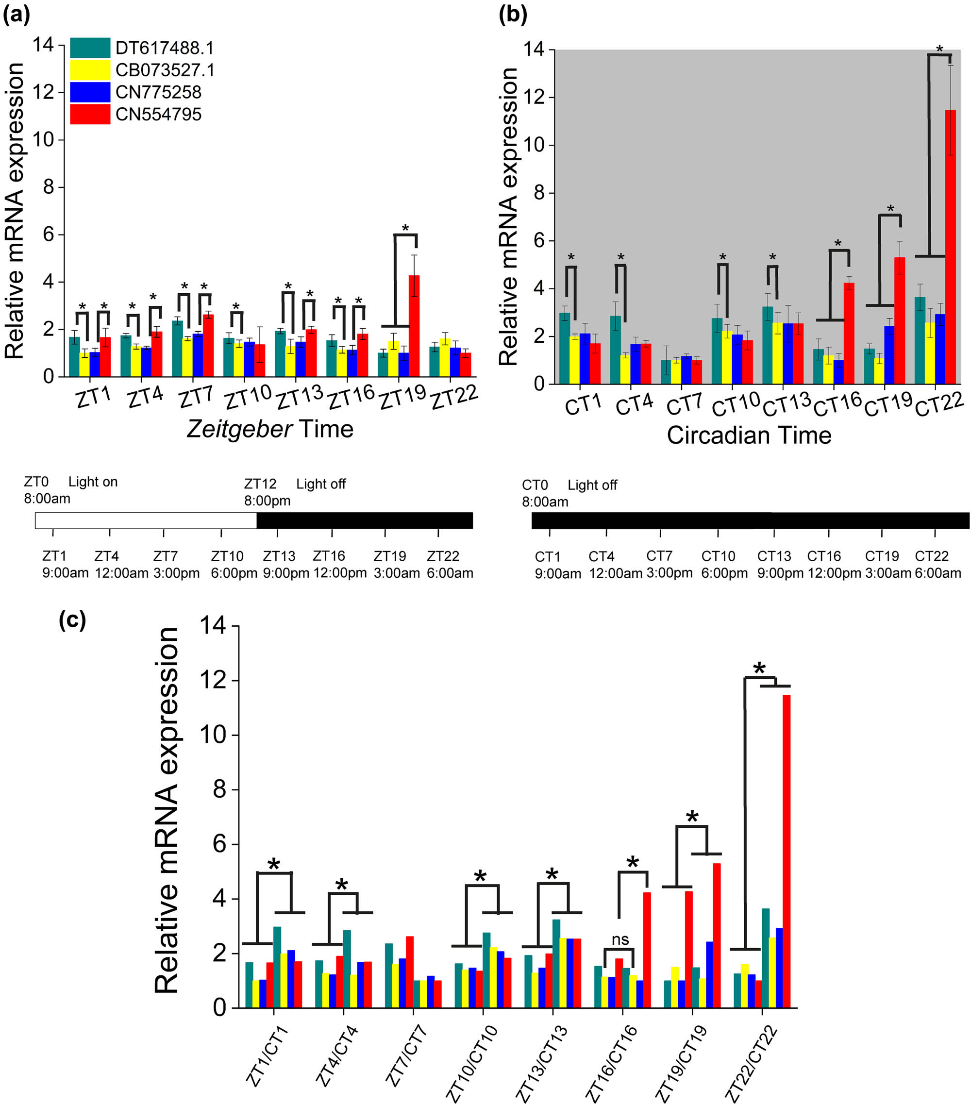 Diurnal and circadian regulation of opsin-like transcripts in the ...