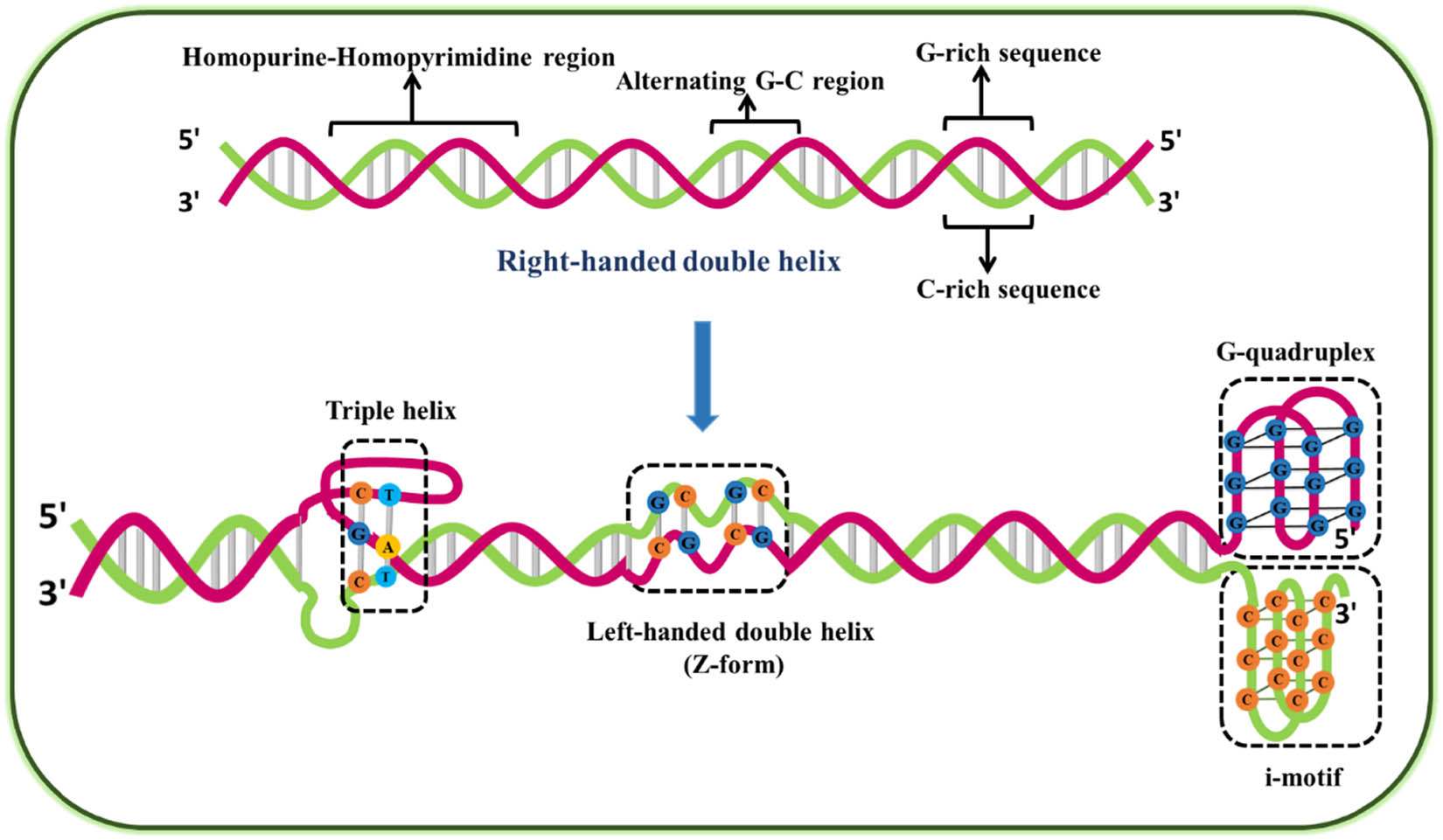 Quest for space: Tenacity of DNA, Protein, and Lipid macromolecules in ...