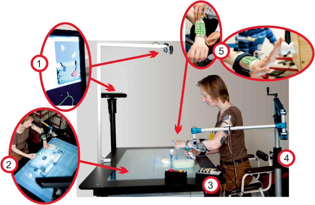 Computational models of upper-limb motion during functional reaching ...