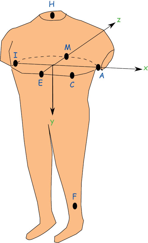 A review of beat-to-beat vectorcardiographic (VCG) parameters for ...