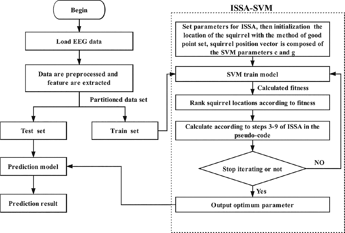 EEG signal classification based on SVM with improved squirrel search algorithm