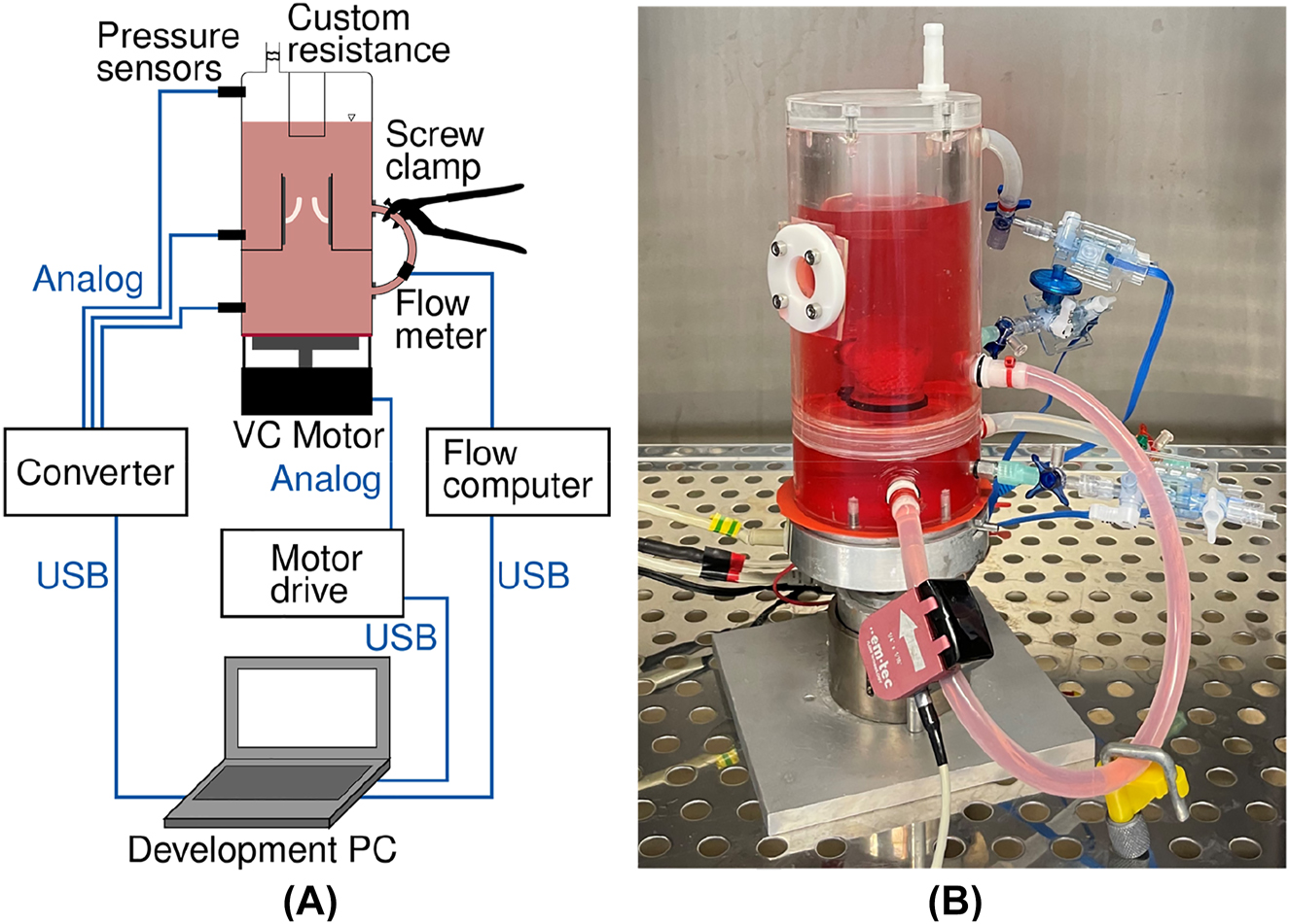 Towards technically controlled bioreactor maturation of tissue ...