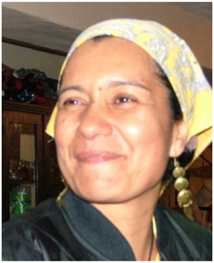 Ultrastructural characterization of Minutocellus polymorp...