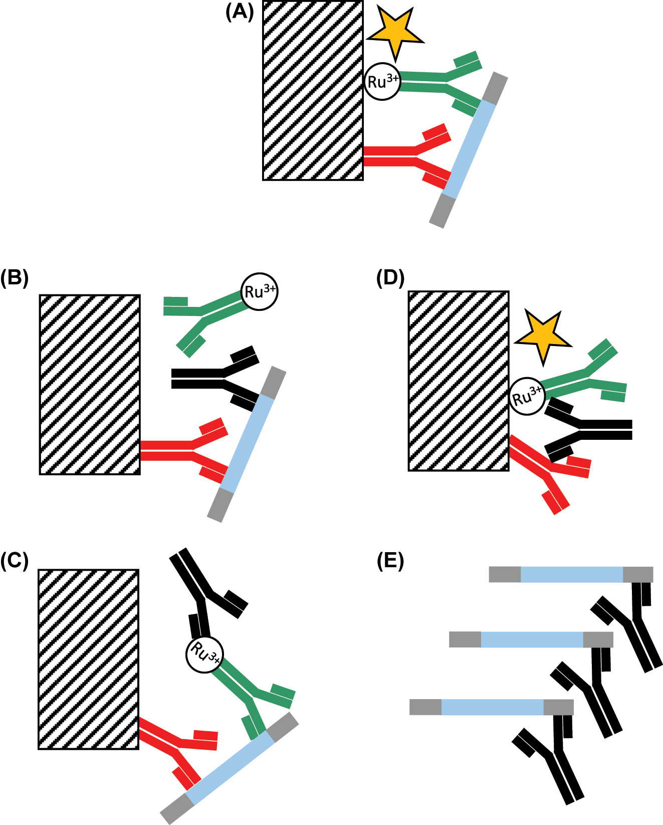 Antibody-mediated interferences affecting cardiac troponin assays ...