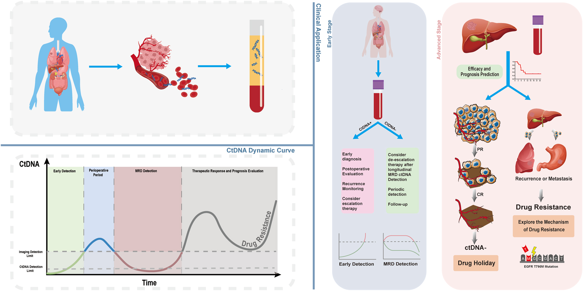 Circulating tumor DNA: current implementation issues and future challenges for clinical utility