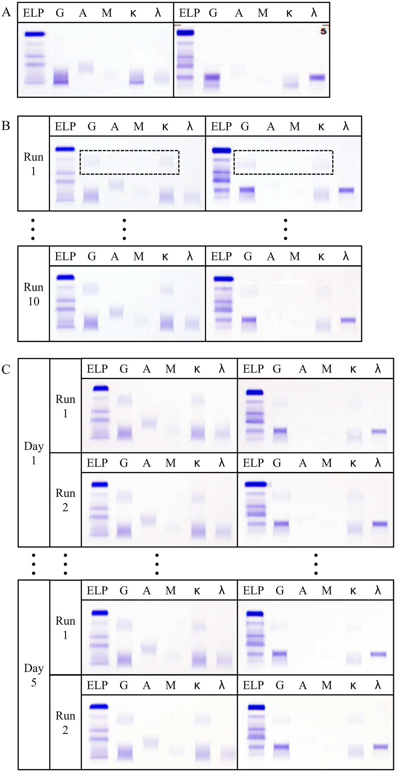 Evaluating the HYDRASHIFT 2/4 Daratumumab assay: a powerful approach to ...