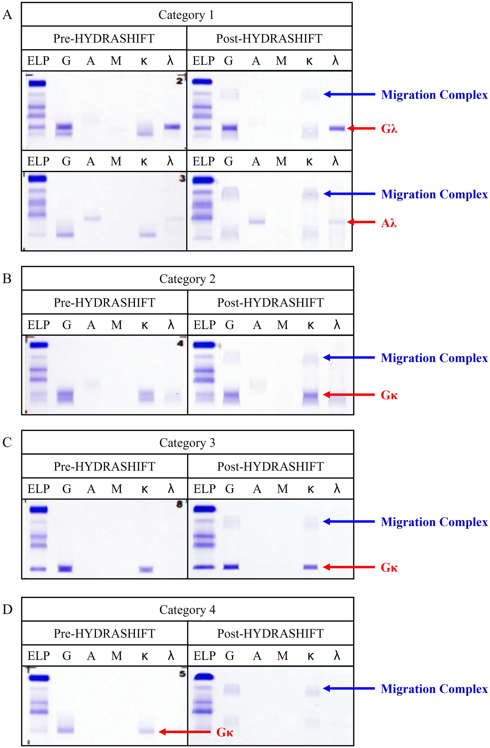 Evaluating the HYDRASHIFT 2/4 Daratumumab assay: a powerful approach to ...