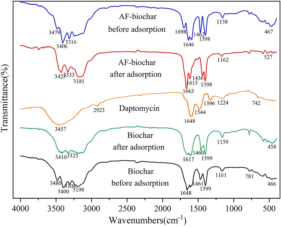 Microwave-assisted preparation of Ag/Fe magnetic biochar from clivia ...
