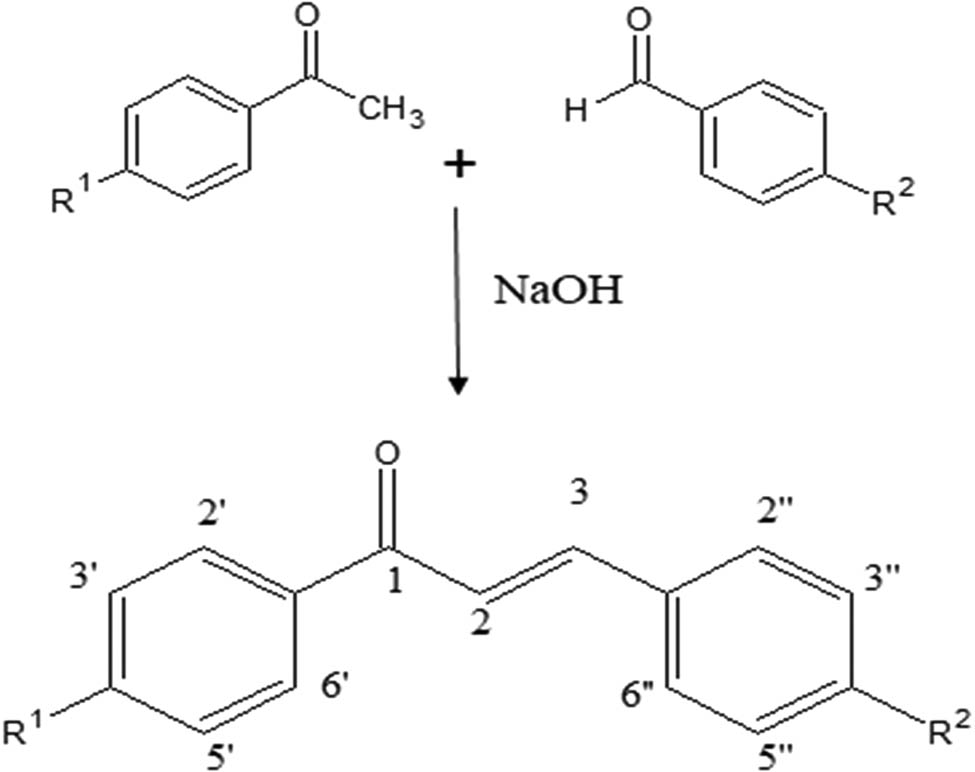 Insights into the molecular basis of some chalcone analogues as ...